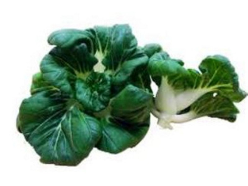 KF Vegetable Wholesale Johor Bahru (JB) :: Cameron Highland/ 金马伦高原 ...