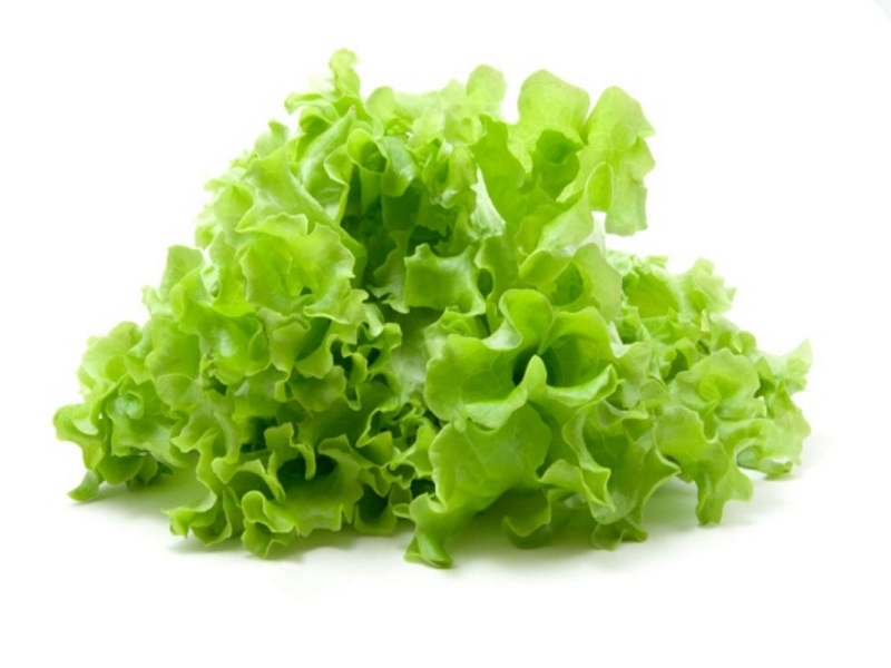 KF Vegetable Wholesale Johor Bahru (JB) :: Cameron Highland/ 金马伦高原 ...