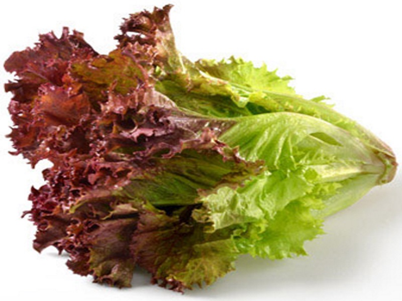 KF Vegetable Wholesale Johor Bahru (JB) :: Cameron Highland/ 金马伦高原 ...