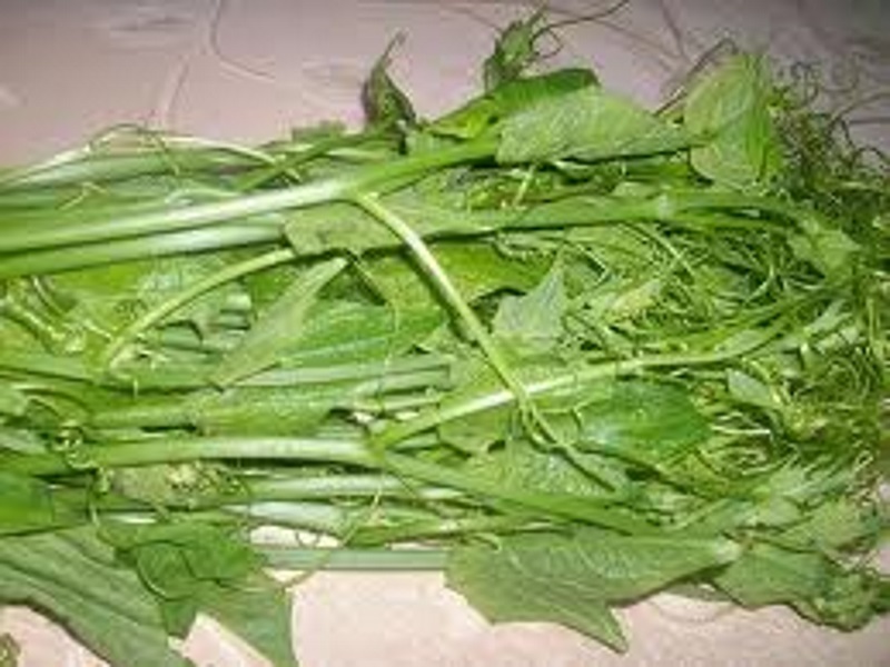 KF Vegetable Wholesale Johor Bahru (JB) :: Cameron Highland/ 金马伦高原 ...