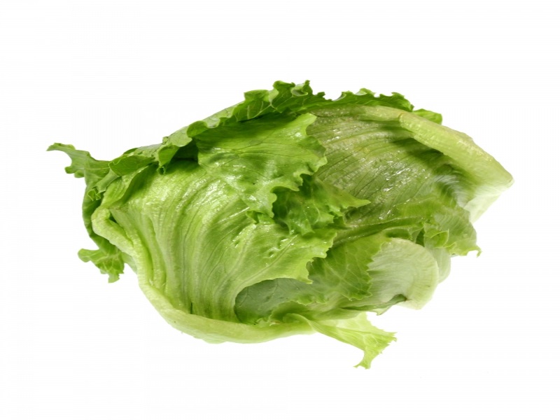 KF Vegetable Wholesale Johor Bahru (JB) :: Cameron Highland/ 金马伦高原 ...