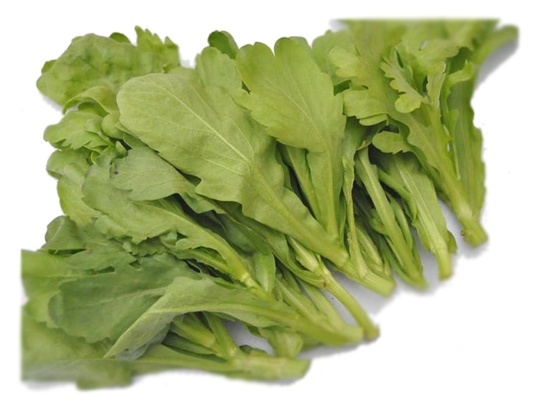 KF Vegetable Wholesale Johor Bahru (JB) :: Cameron Highland/ 金马伦高原 ...