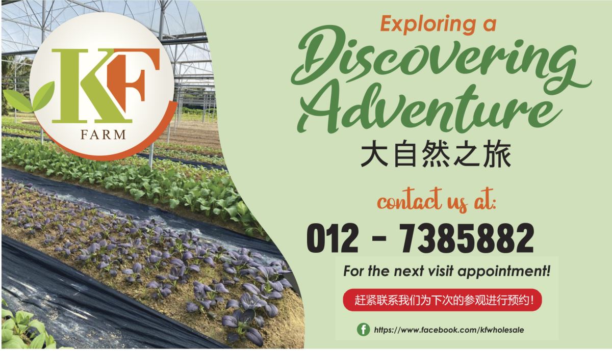 KF Vegetable Wholesale Johor Bahru (JB) :: Farm Tour Reservation
