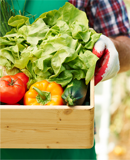 KF Vegetable Wholesale Johor Bahru (JB) :: 新山蔬菜批发商 | Vegetable Supplier ...